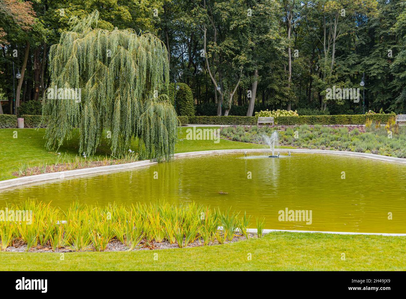 Small square with small pond and small hedge in park Stock Photo - Alamy