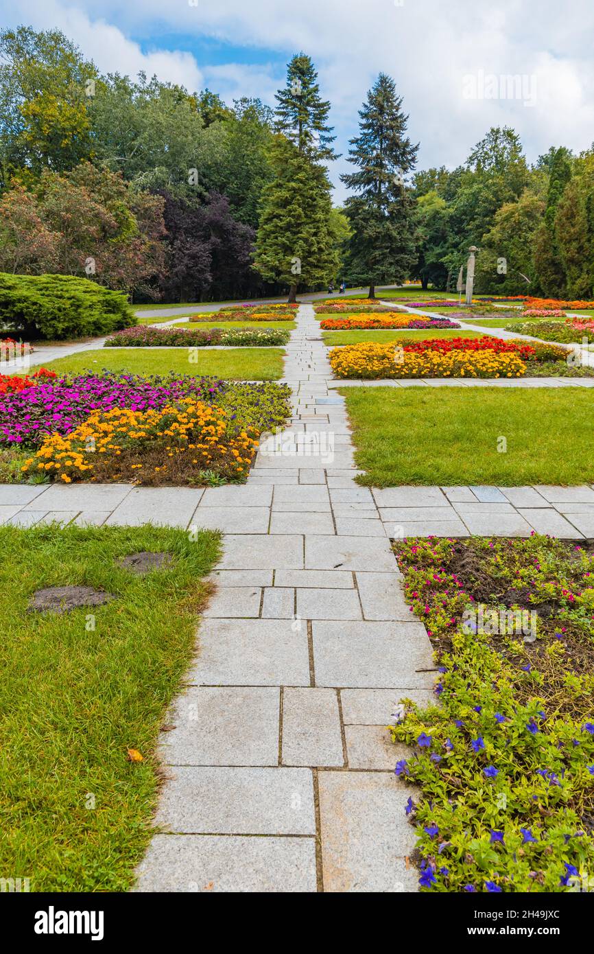 Square fields in Citadel park full of tiny colorful flowers Stock Photo ...
