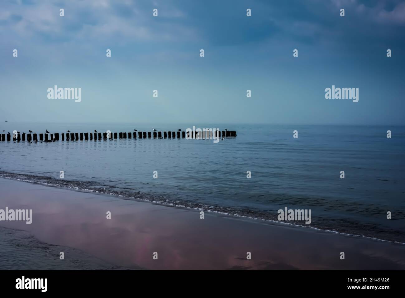 A wooden breakwater on an empty beach. Subtle colours, calm water ...
