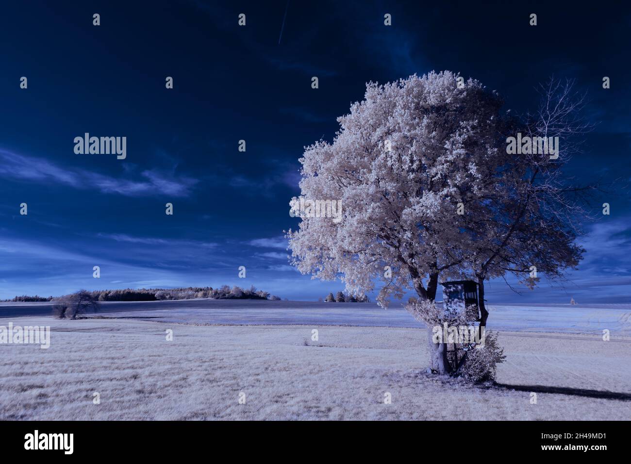 Infrared landscape with glowing white vegetation using 720nm filter ...