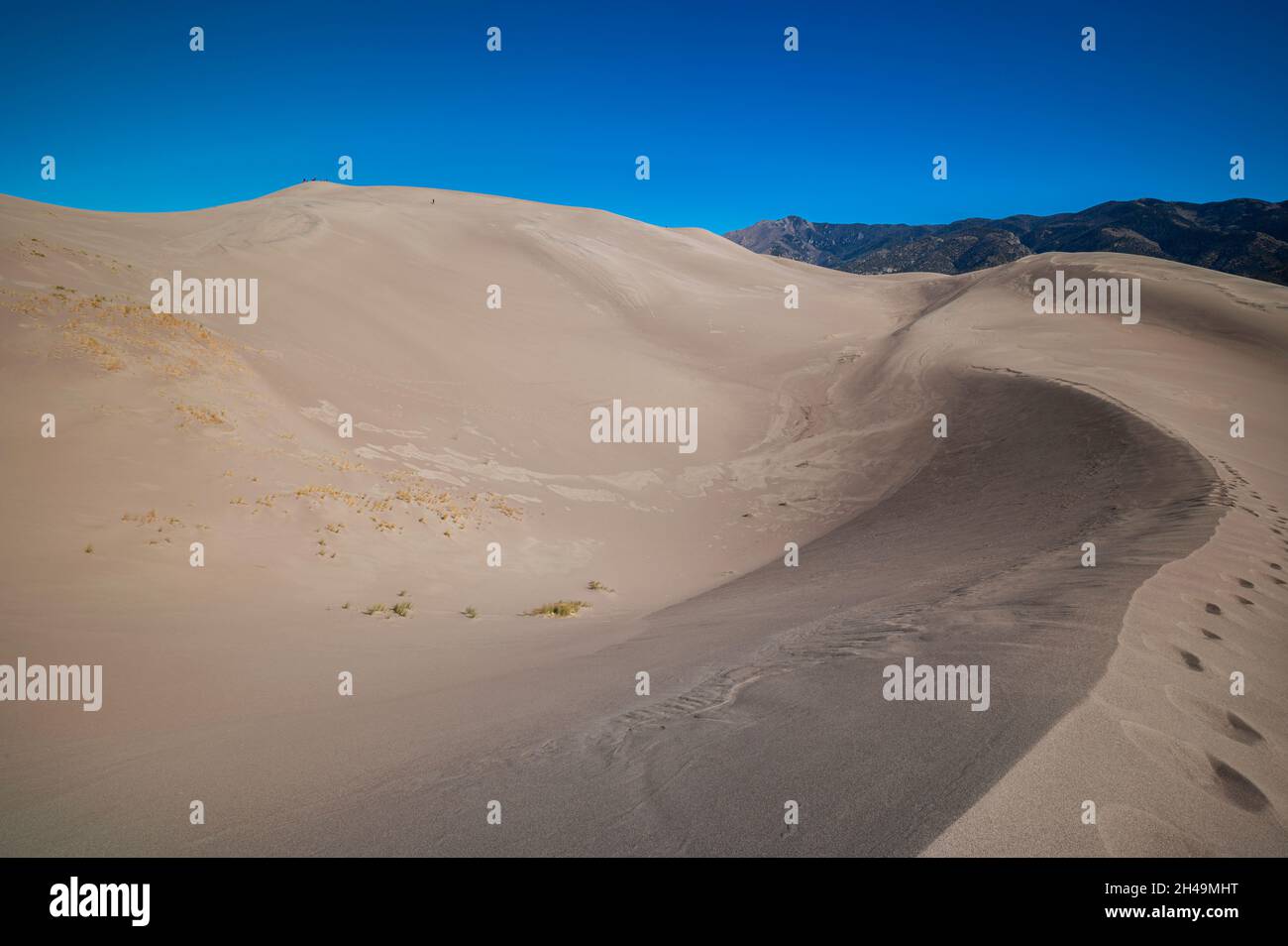 Sand slopes in the Great Sand Dunes National Park, Colorado, USA Stock ...