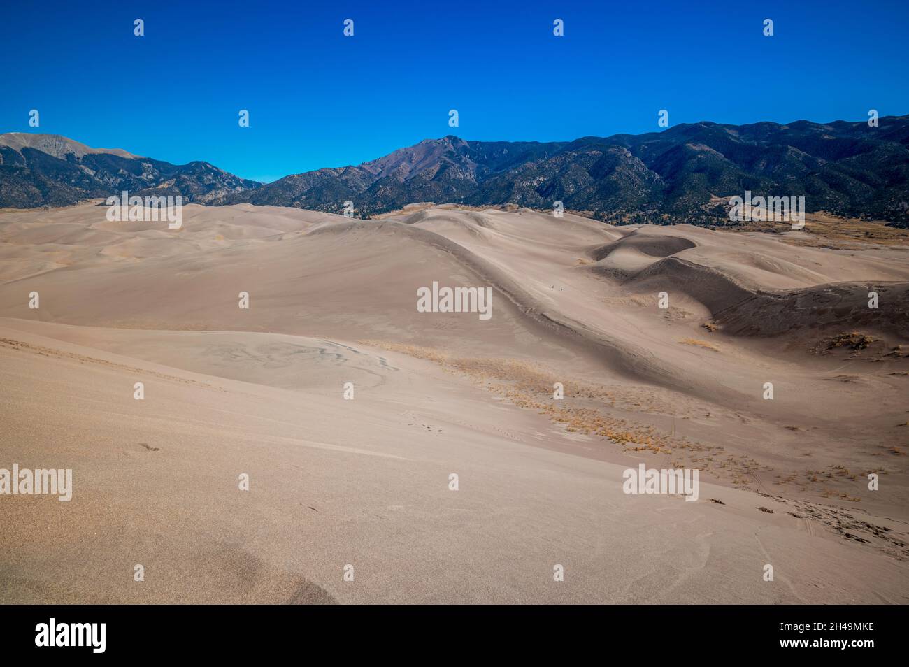Views from High Dune in Great Sand Dunes National Park Stock Photo - Alamy