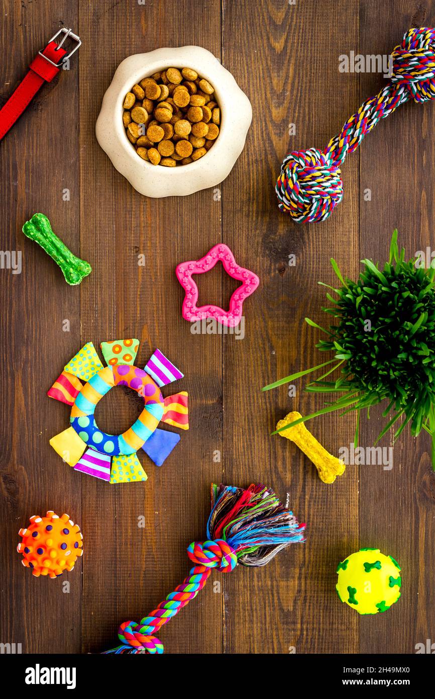 Pet accessories with dog and cat food and toys, top view Stock Photo ...