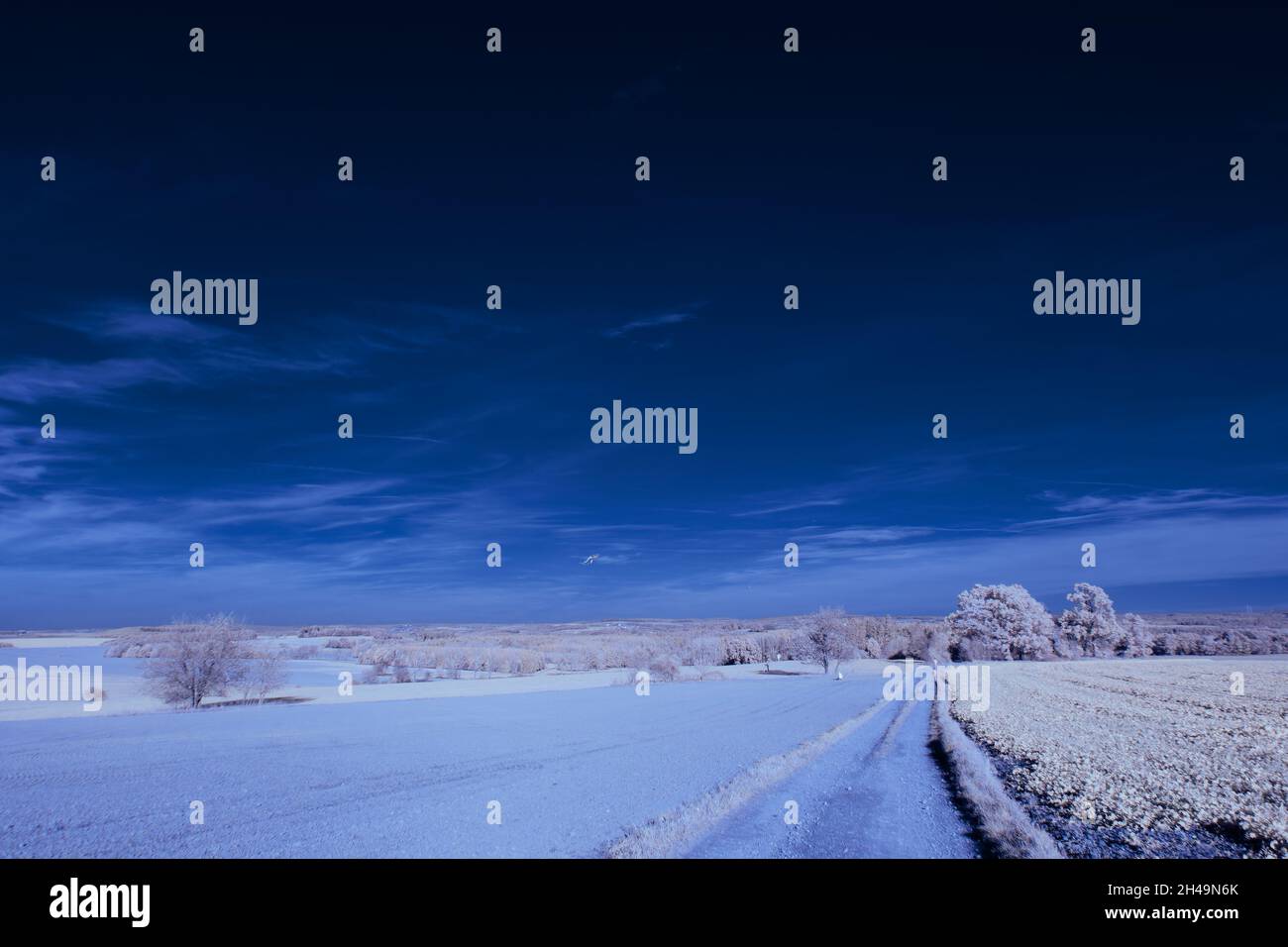 Infrared landscape with glowing white vegetation using 720nm filter ...