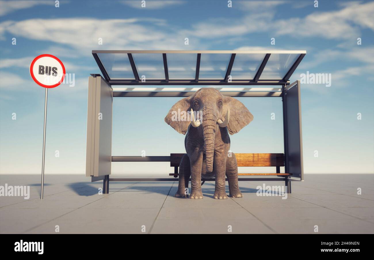 Bus stop elephant hi-res stock photography and images - Alamy