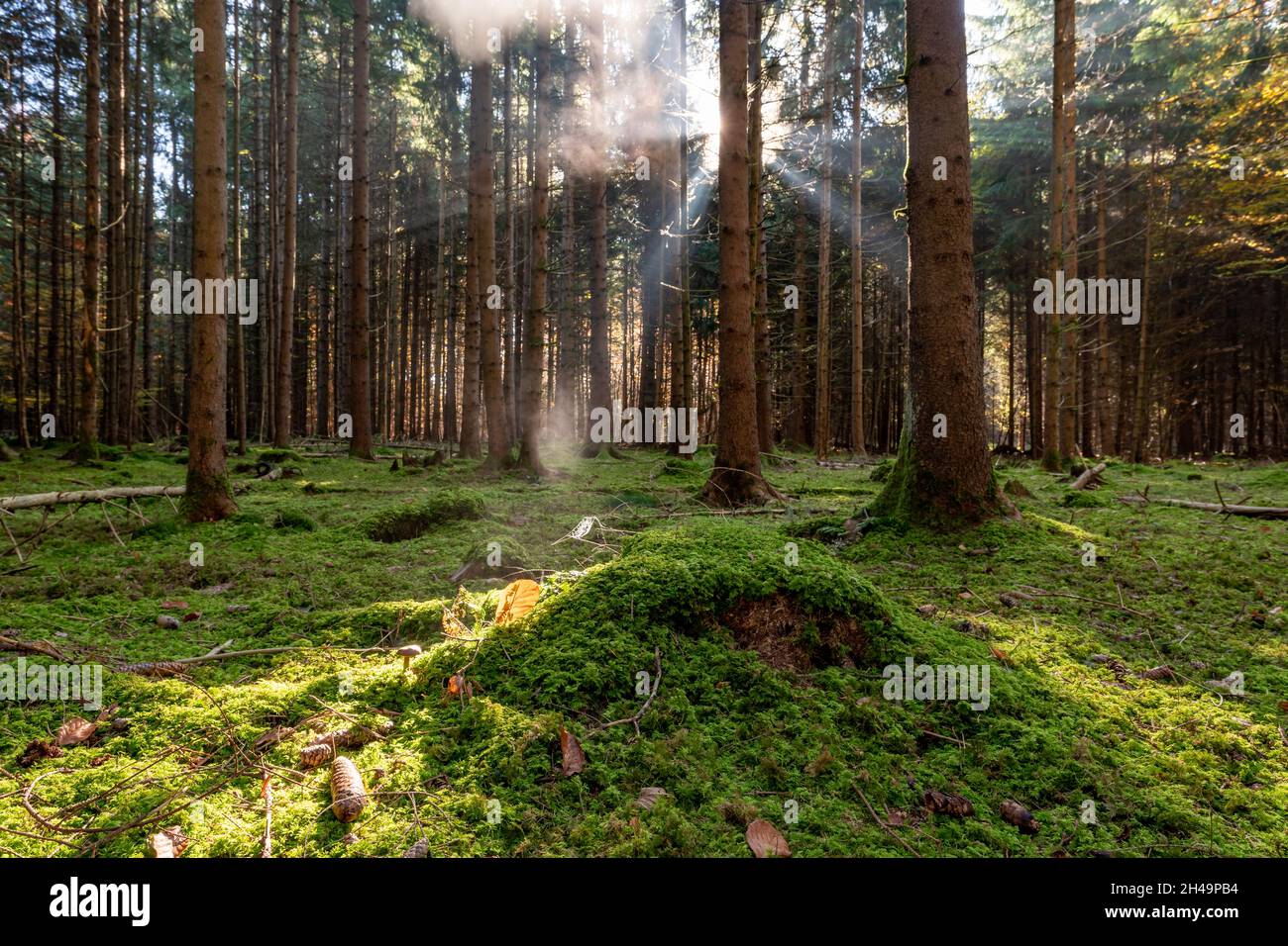 Lots of sunshine hi-res stock photography and images - Alamy
