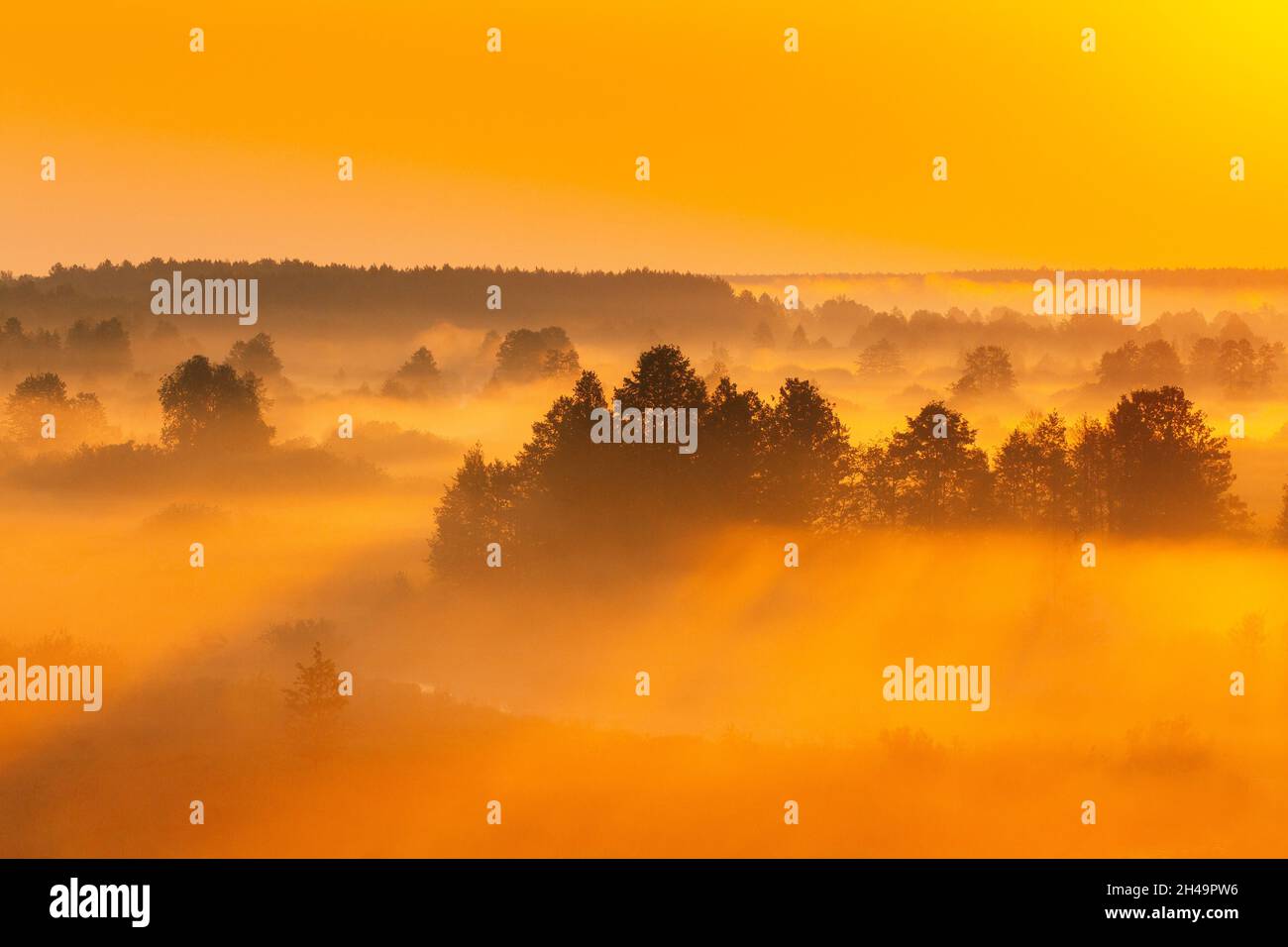 Amazing Sunrise Light Above Misty Landscape. Scenic View Of Foggy ...