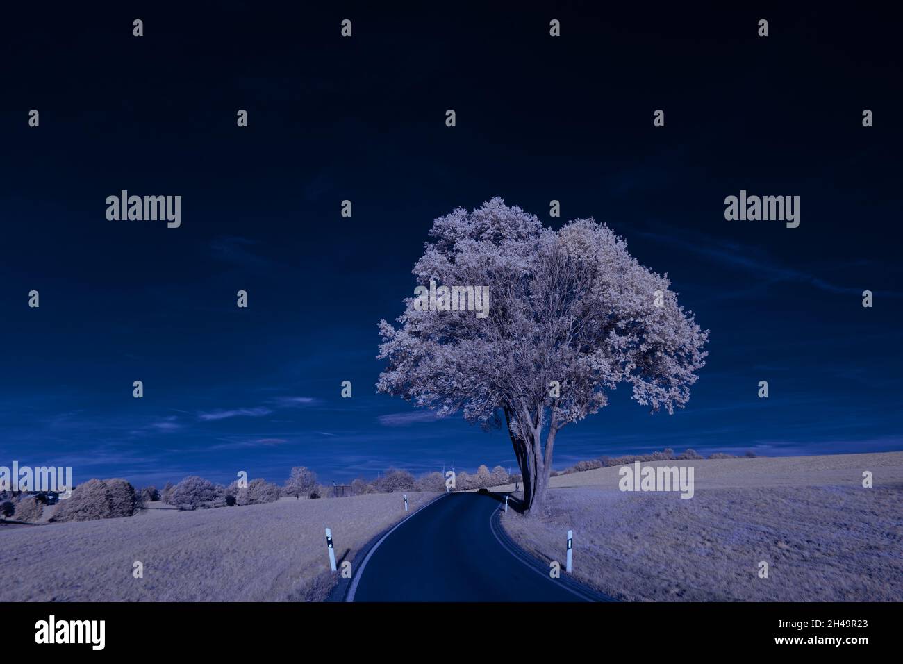 infrared photography - surreal ir photo of landscape with trees under ...