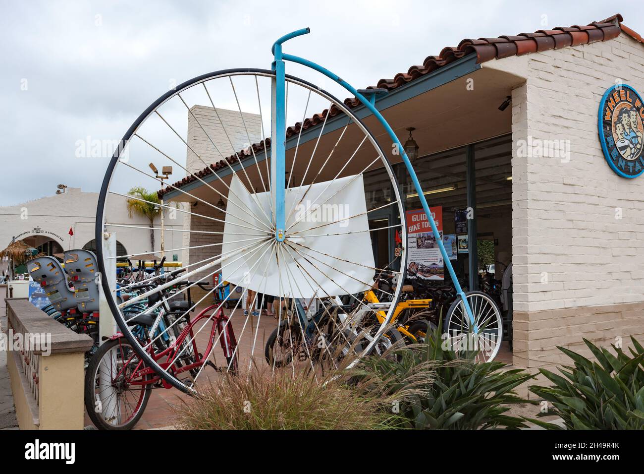 Mechanism of transportation in plants hi-res stock photography and ...