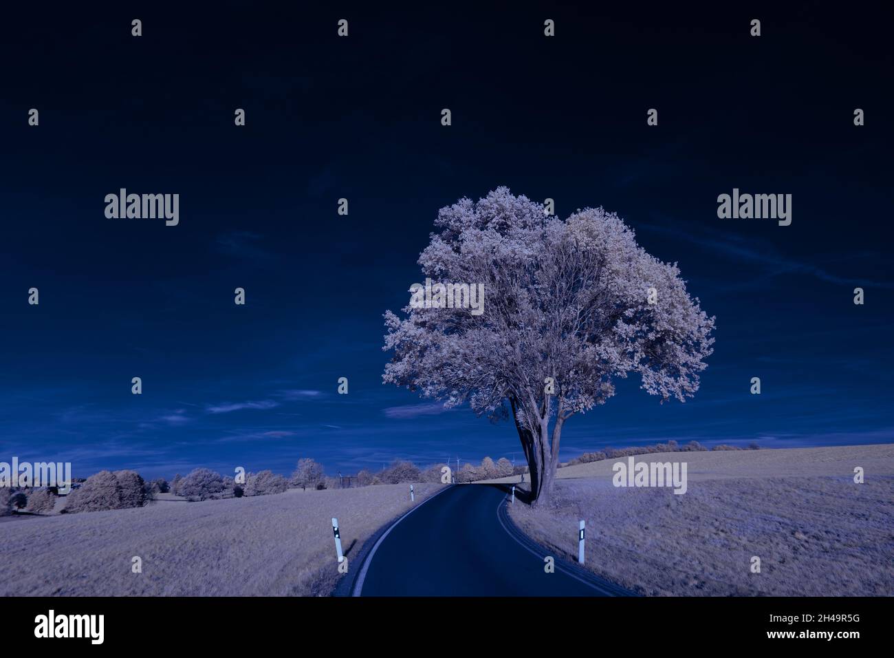 Infrared landscape with glowing white vegetation using 720nm filter ...