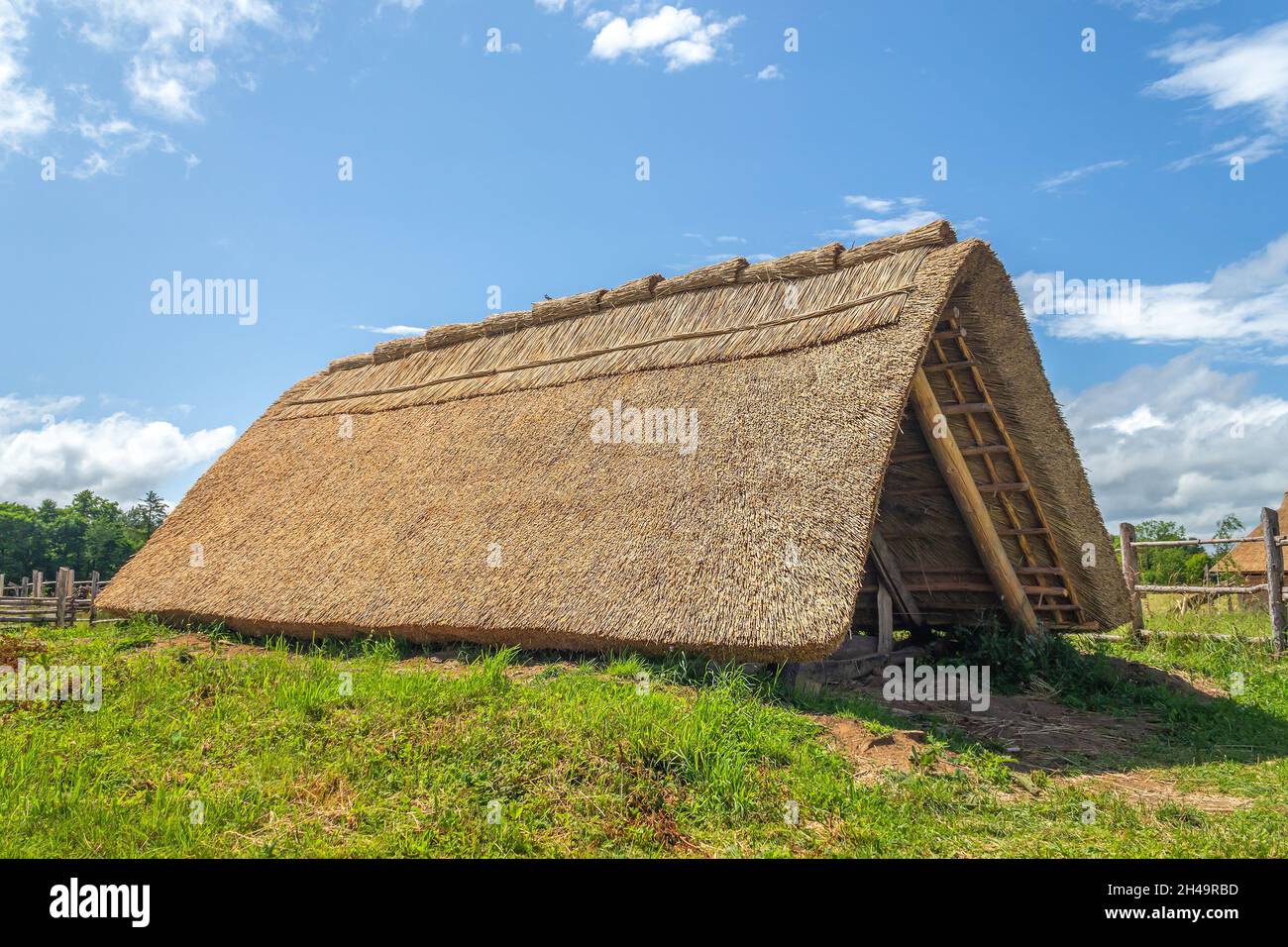 Celtic house with straw thatched roof at Celtic open air museum in ...