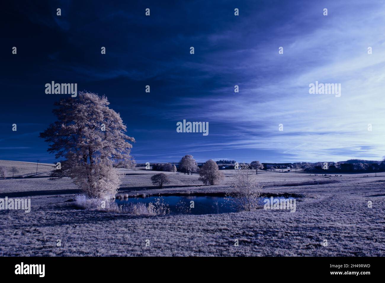 Infrared landscape with glowing white vegetation using 720nm filter ...