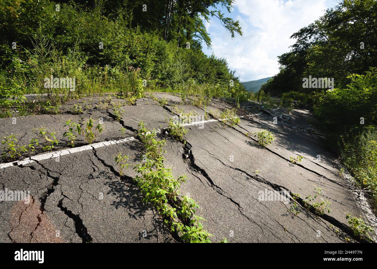 Swollen asphalt. Destroyed road consequences of a natural cataclysm of ...