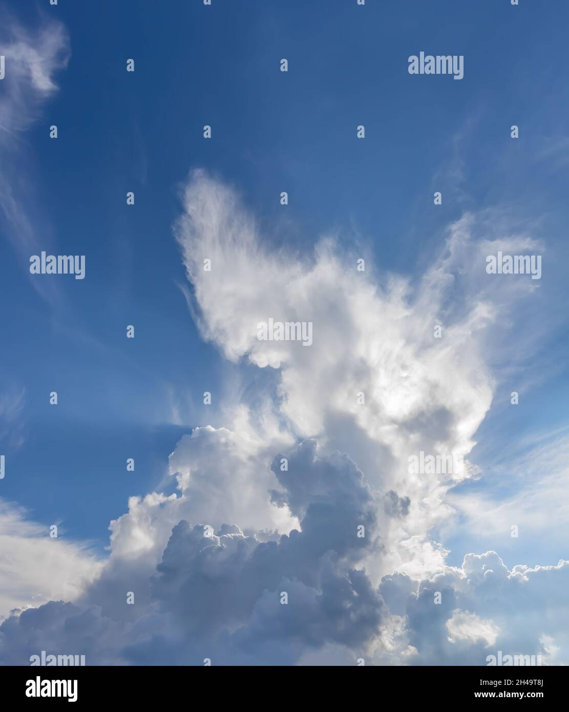 Mass of fluffy white hi-res stock photography and images - Alamy
