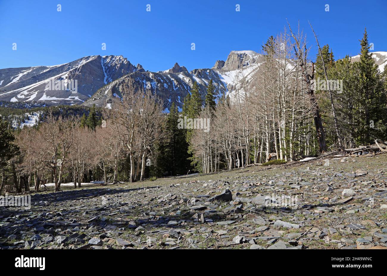 Iconic landscape in Great Basin National Park, Nevada Stock Photo - Alamy