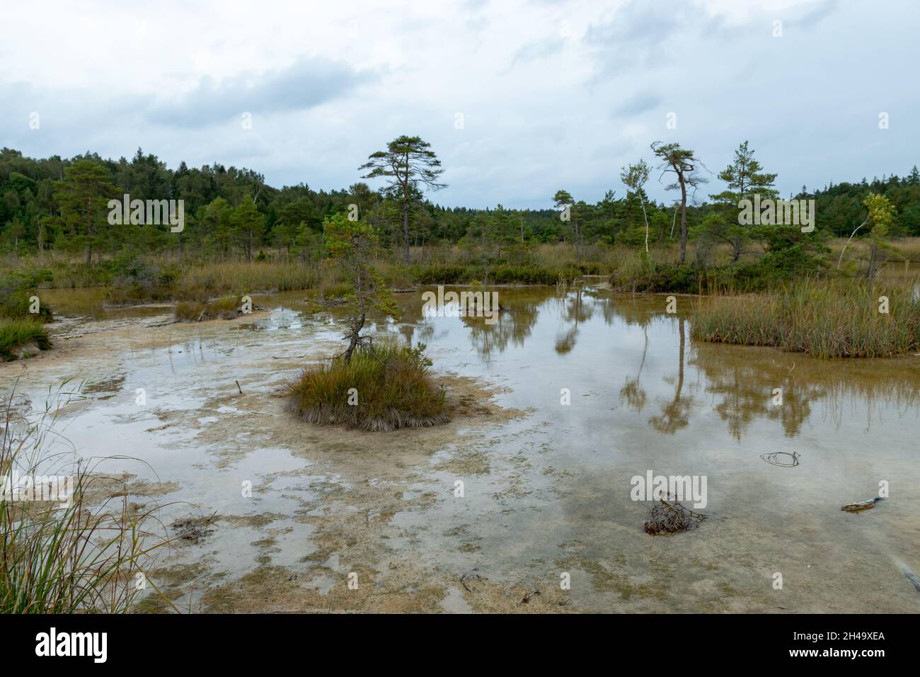 landscape with Sulfur Pond, which are water llamas formed on the ...