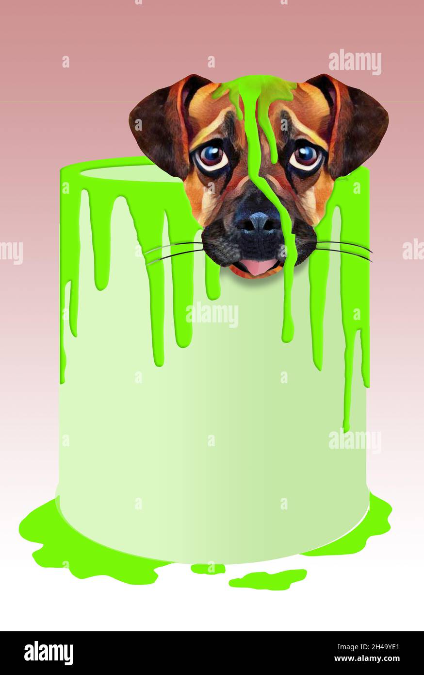 Paint breed hi-res stock photography and images - Alamy