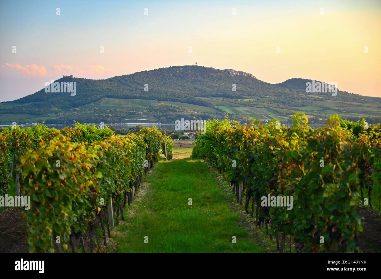 Palava region hi-res stock photography and images - Alamy