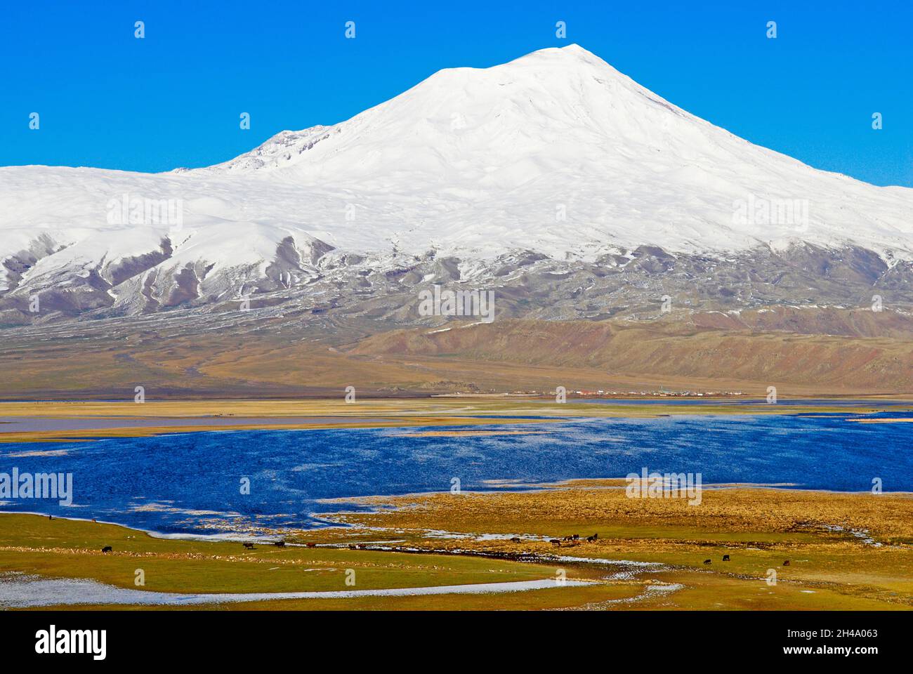 Culture agri hi-res stock photography and images - Alamy