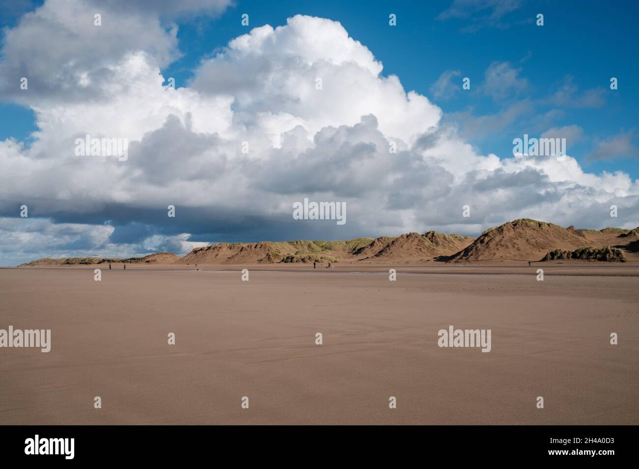 wide expanse of open empty beach with sand dunes and dramatic puffy ...