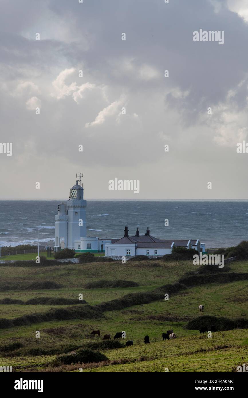 st catherines lighthouse on the coastline of the isle of wight ...
