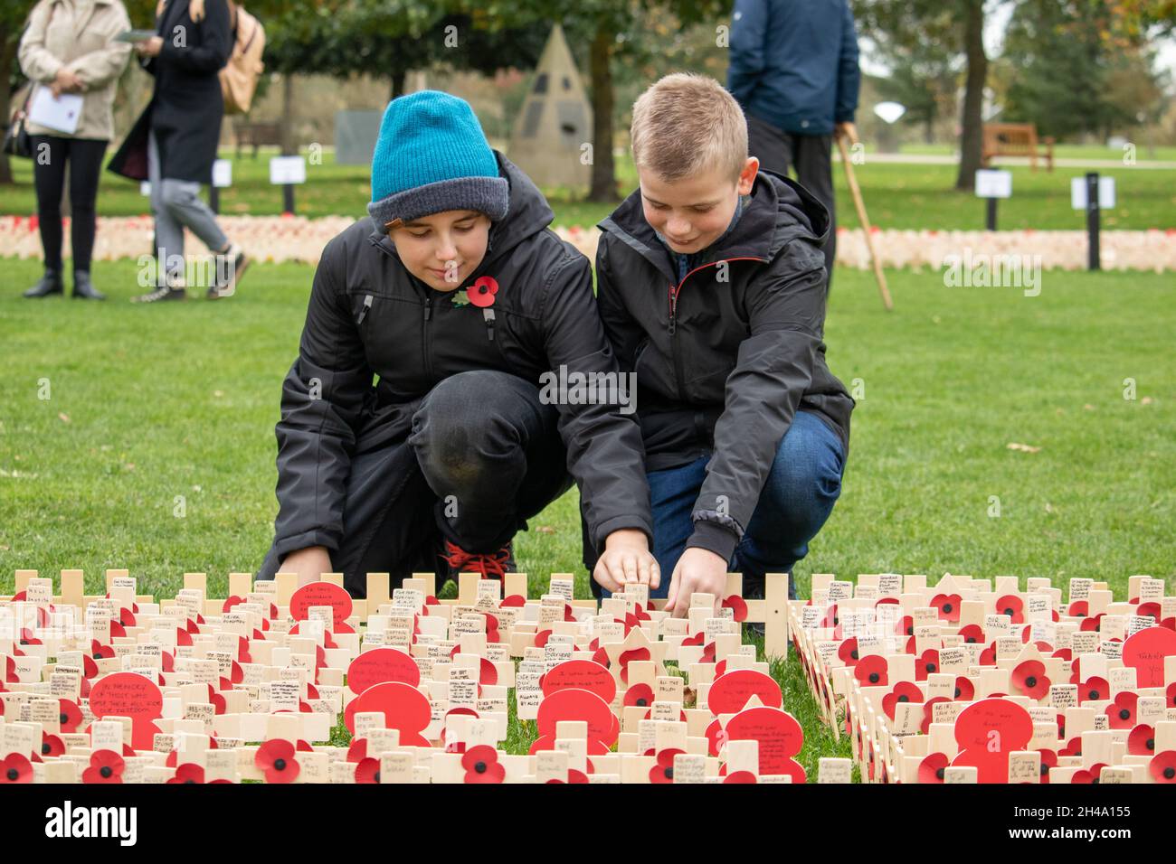 Two Boys Looking At Poppies High Resolution Stock Photography and ...