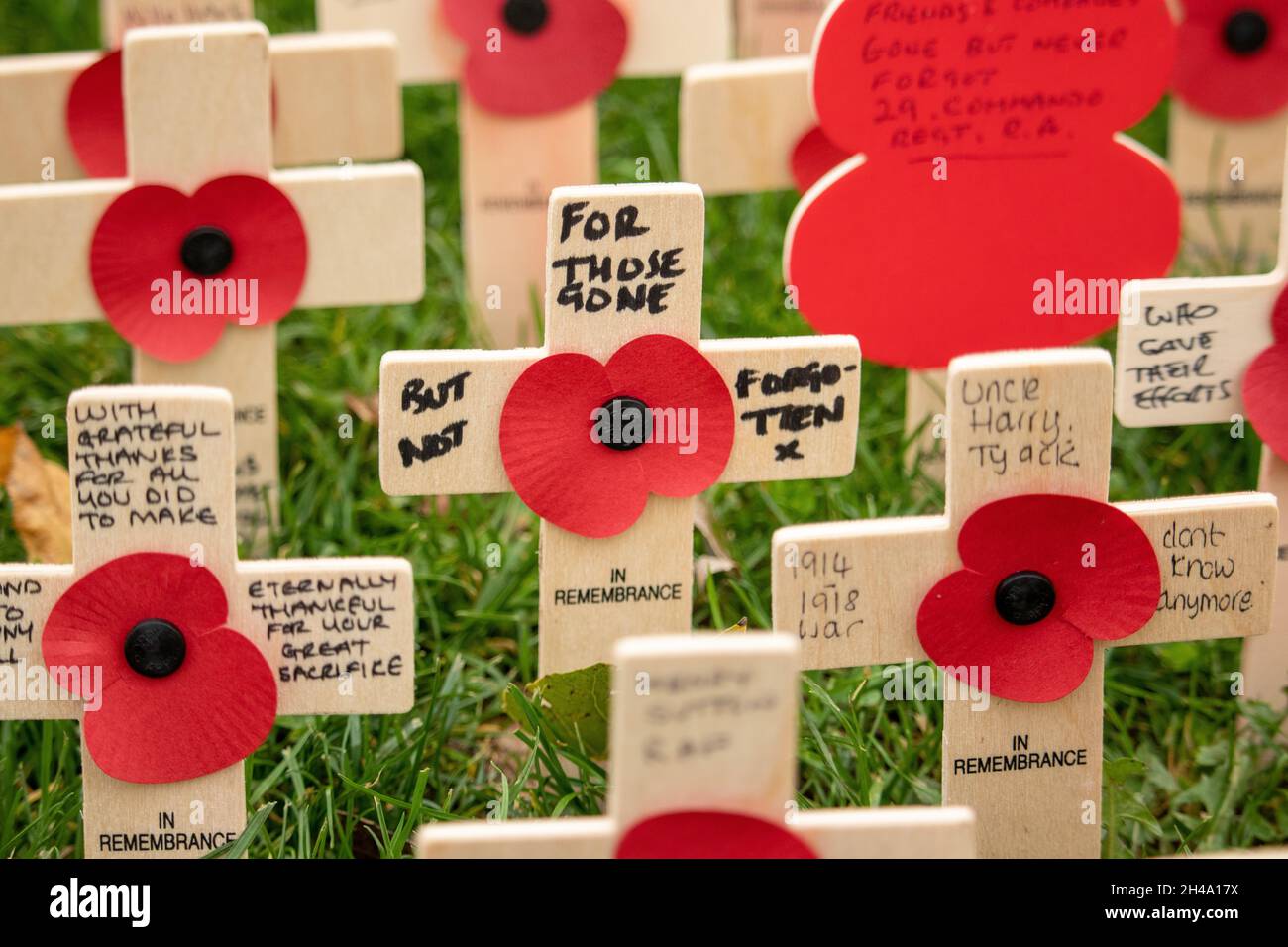 The opening service for the Field of remembrance at the National ...