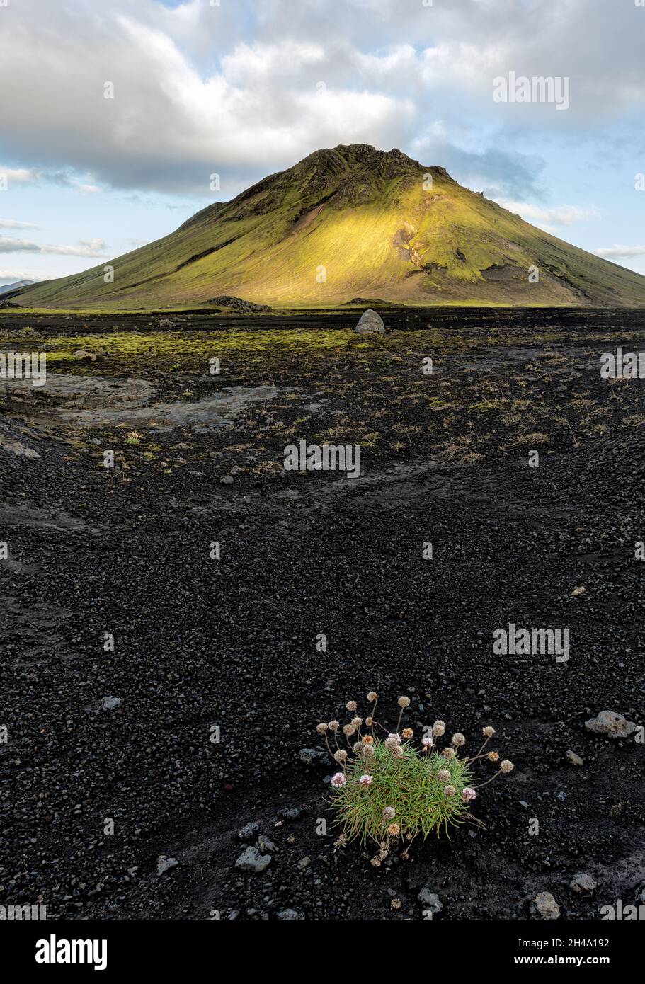 Maelifell volcano hi-res stock photography and images - Alamy