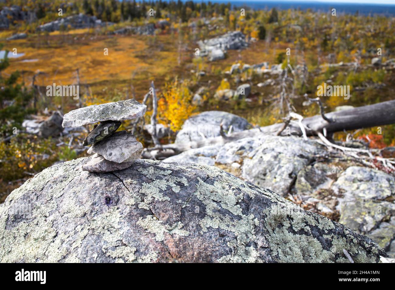 Swamp or lake with megalithic seid boulder stones, dead trees in nature ...