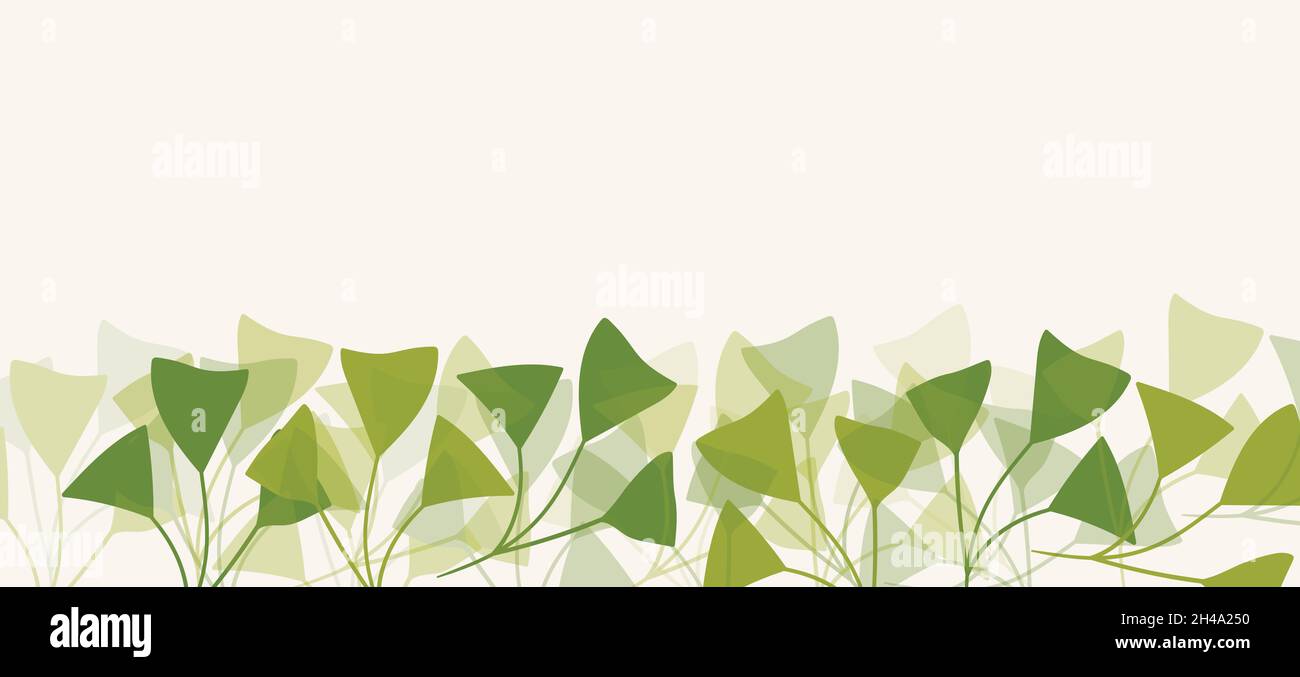 Floral web banner with drawn color exotic leaves. Nature concept design ...