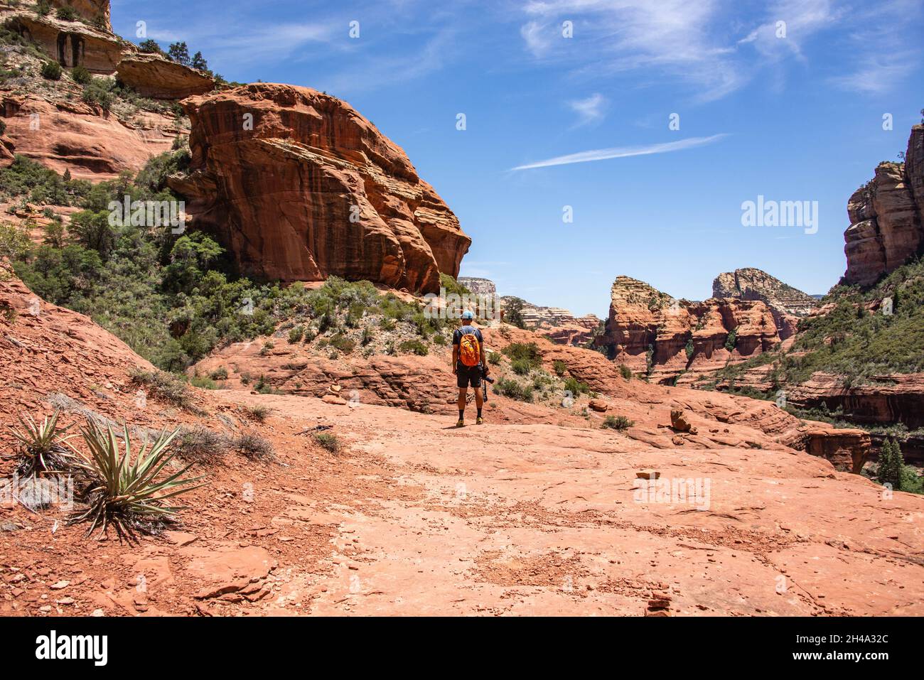 Hiking in Boynton Canyon, Sedona, Arizona, U.S.A Stock Photo - Alamy