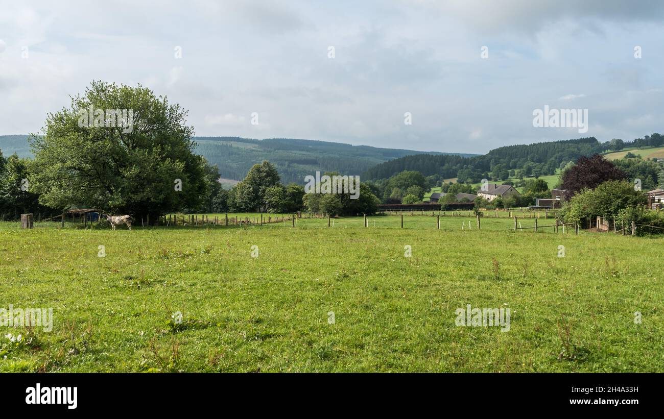 Thirimont hi-res stock photography and images - Alamy