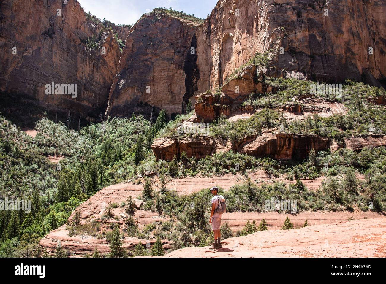 Hiking in Boynton Canyon, Sedona, Arizona, U.S.A Stock Photo - Alamy