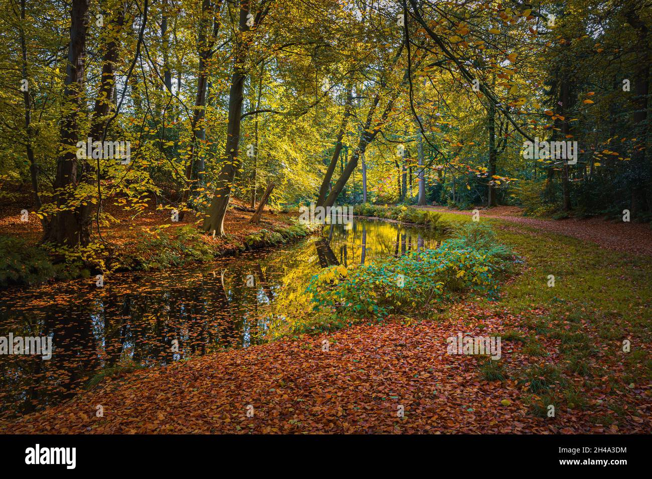 Landgoed de braak hi-res stock photography and images - Alamy