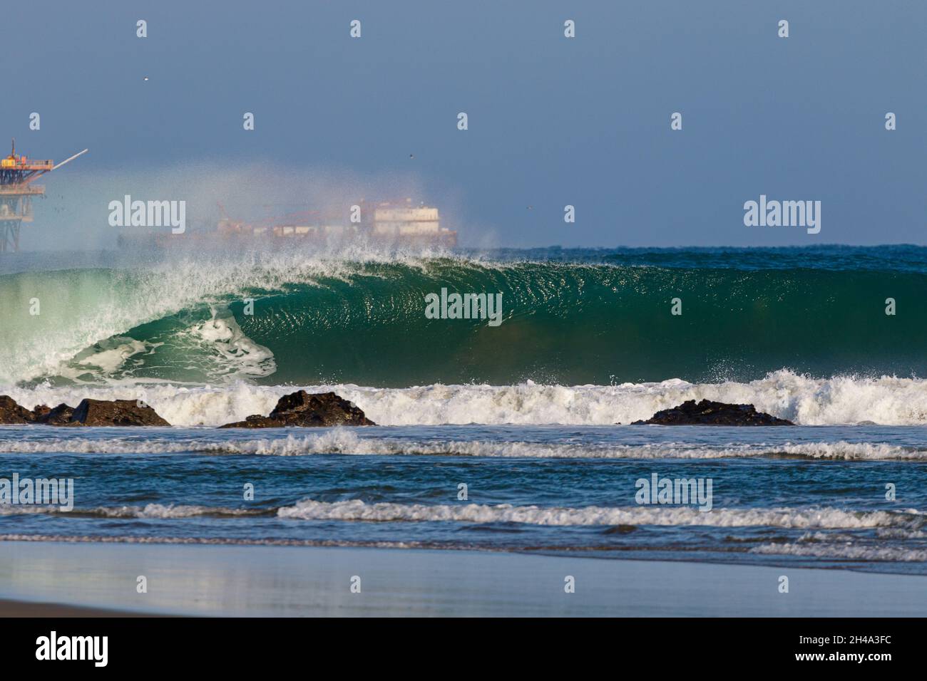 Lobitos peru hi-res stock photography and images - Alamy