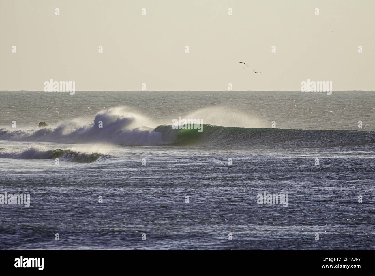 Talara peru hi-res stock photography and images - Alamy