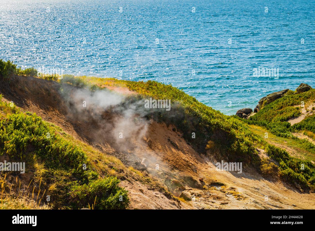 Fumaroles, or steam vents along Yellowstone Lake shoreline shaped by ...