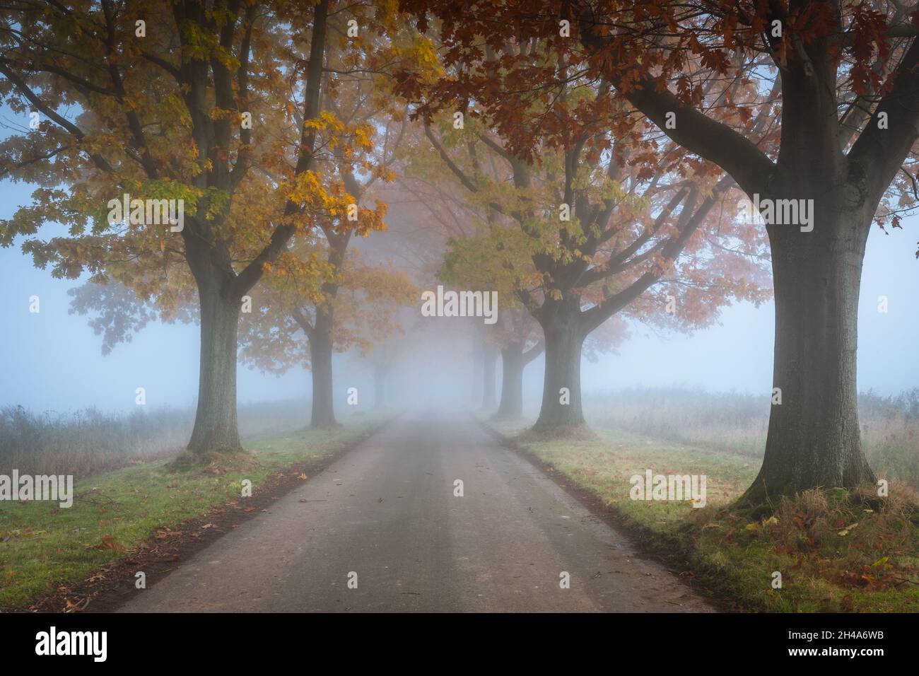 Moody colours hi-res stock photography and images - Alamy