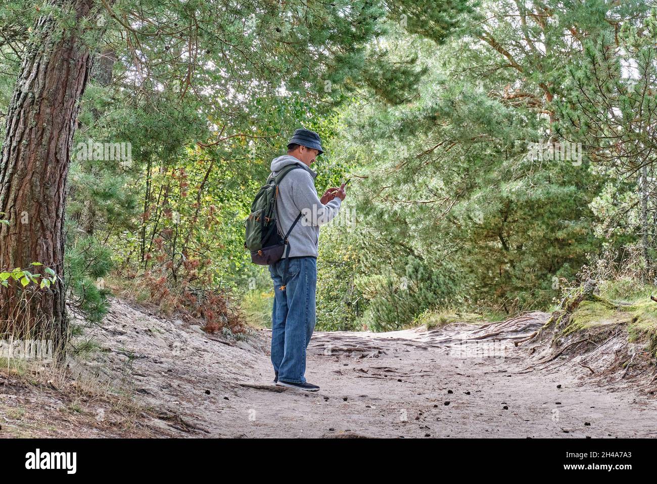 Mature man with backpack standing among trees using mobile phone for ...