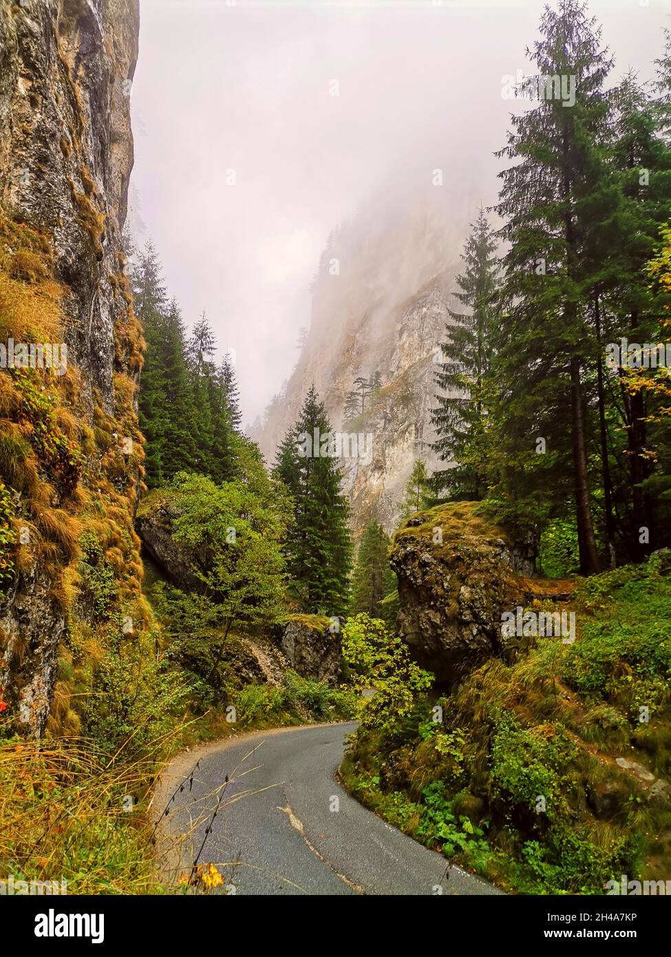 Rodopi mountains hi-res stock photography and images - Alamy