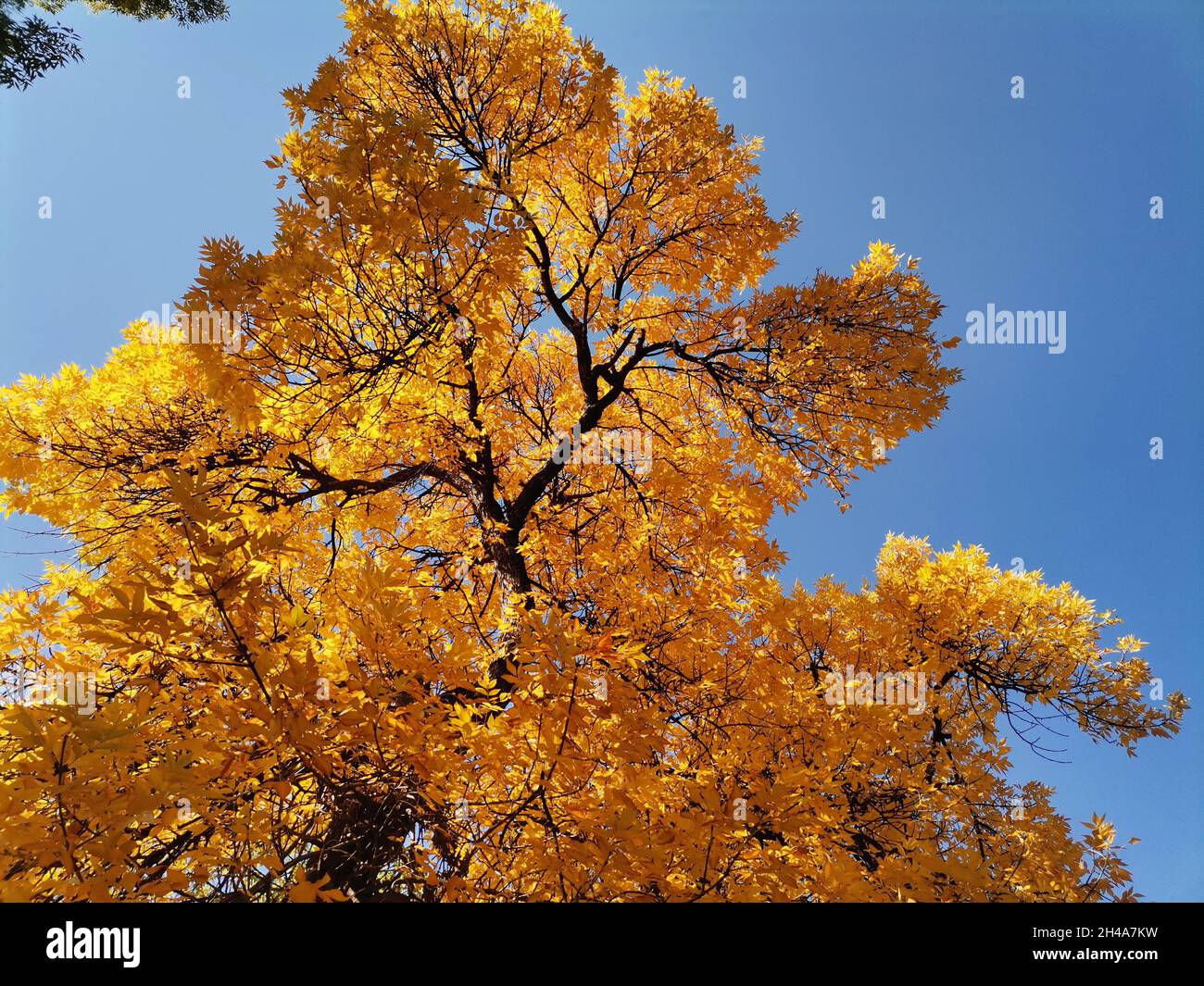 Blue and yellow and mountains hi-res stock photography and images - Alamy