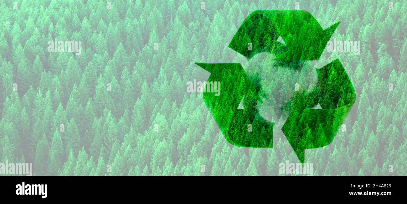 Recycle Symbol with View of forest of green pine trees on mountainside ...