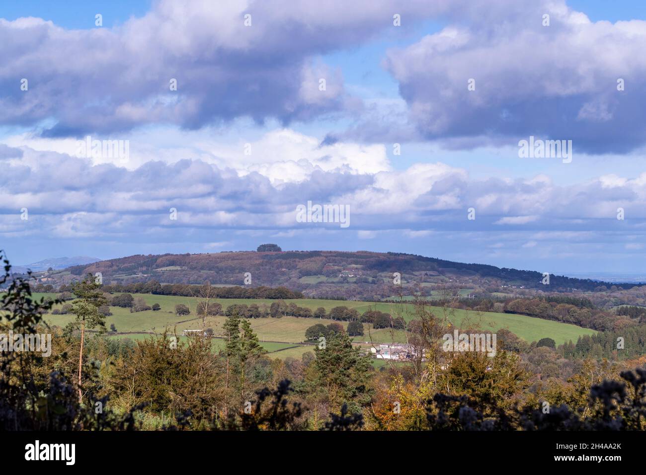 May Hill, Gloucestershire. UK Stock Photo - Alamy