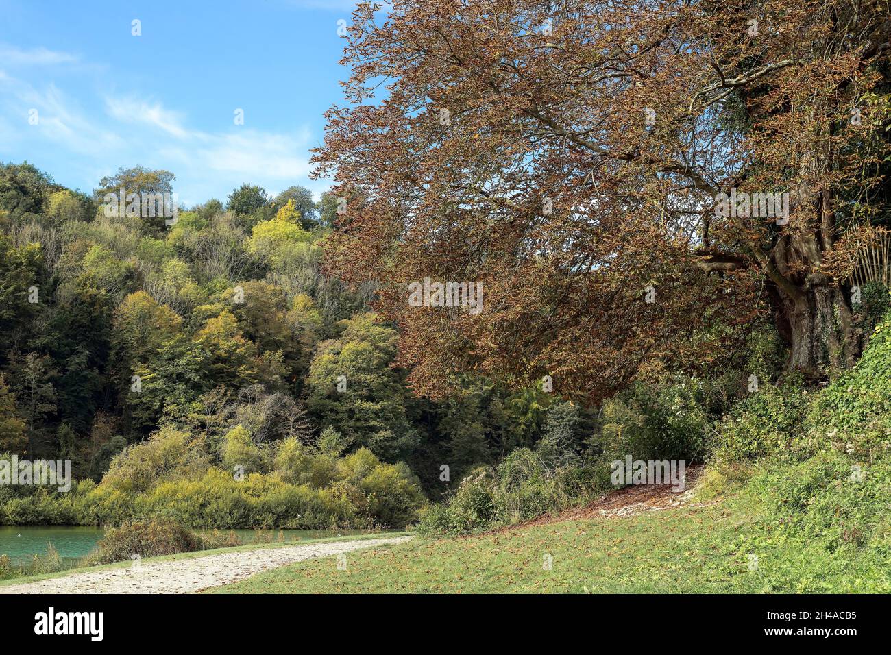 Swanbourne, Arundel, West Sussex, UK Stock Photo - Alamy