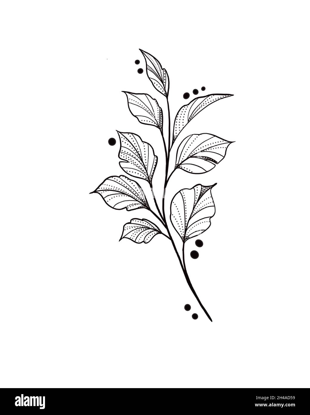 Flower Tattoo Outline Tumblr