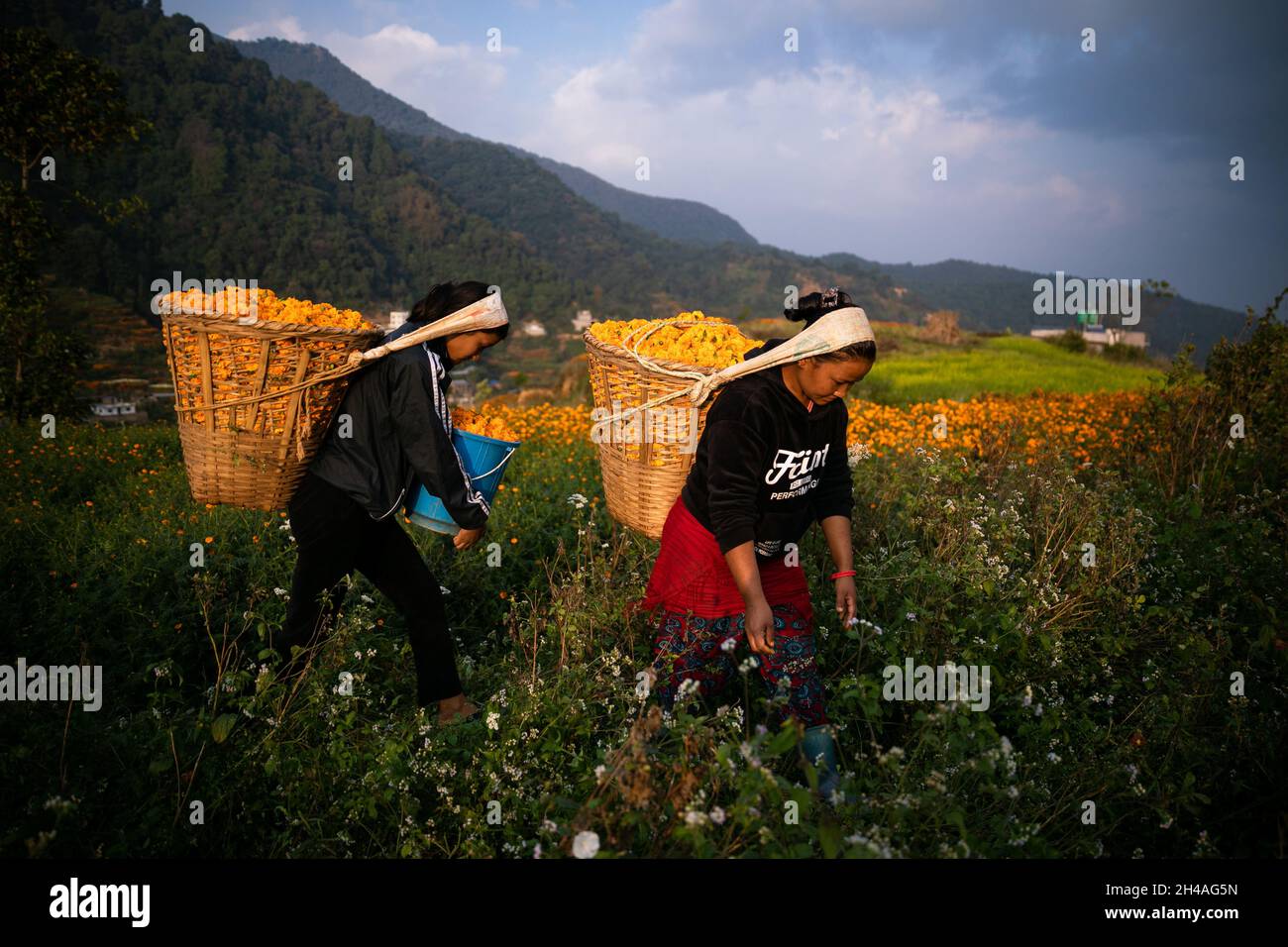 Crows of women hi-res stock photography and images - Alamy