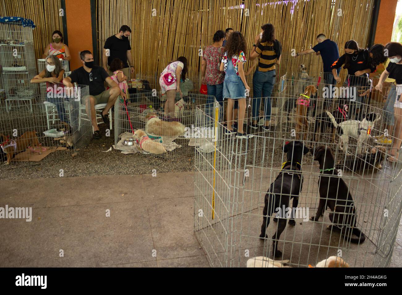 Animal Adoption Fair. Animal Adoption Fair Overview. Event conceived by ...