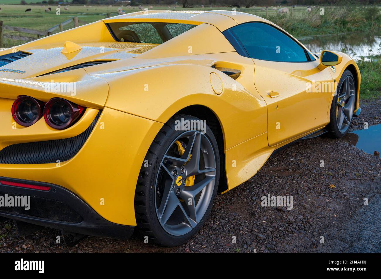 Yellow Ferrari F8 Spider sportswear photographed on the Gwent Levels ...