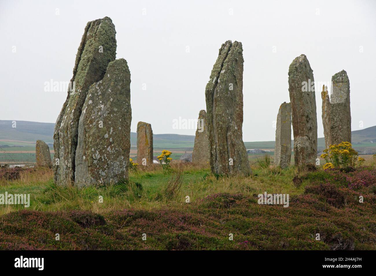 Ring of Brodgar, Mainland, Orkney Islands Stock Photo - Alamy