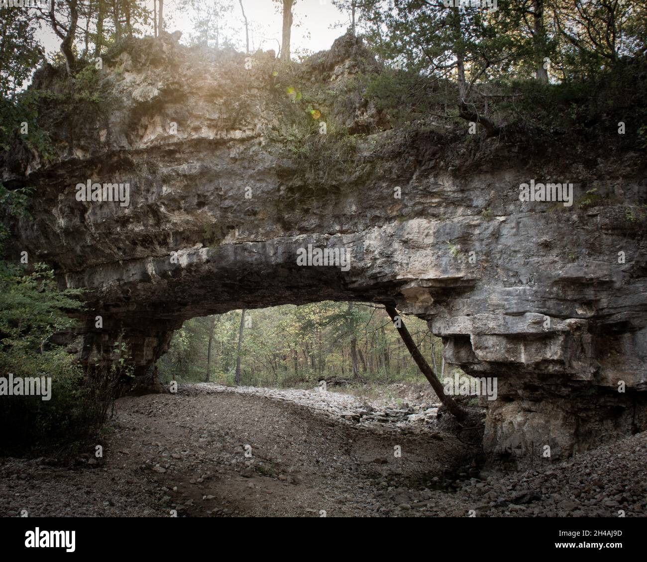 Mossy stone arched bridge in the forest Stock Photo - Alamy